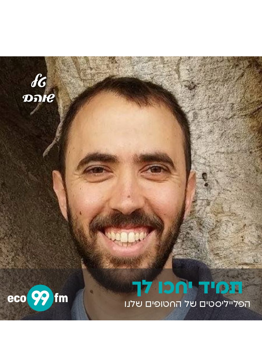 השירים של טל שוהם | eco99fm