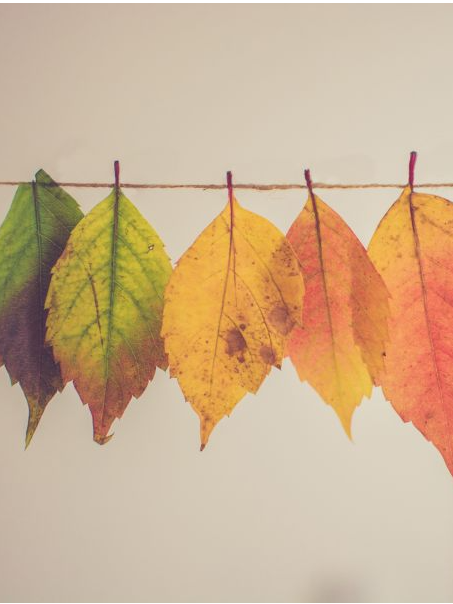 מוזיקה מרגיעה - פלייליסט מרגש eco99fm